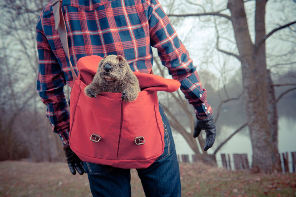 Le trappeur et la marmotte